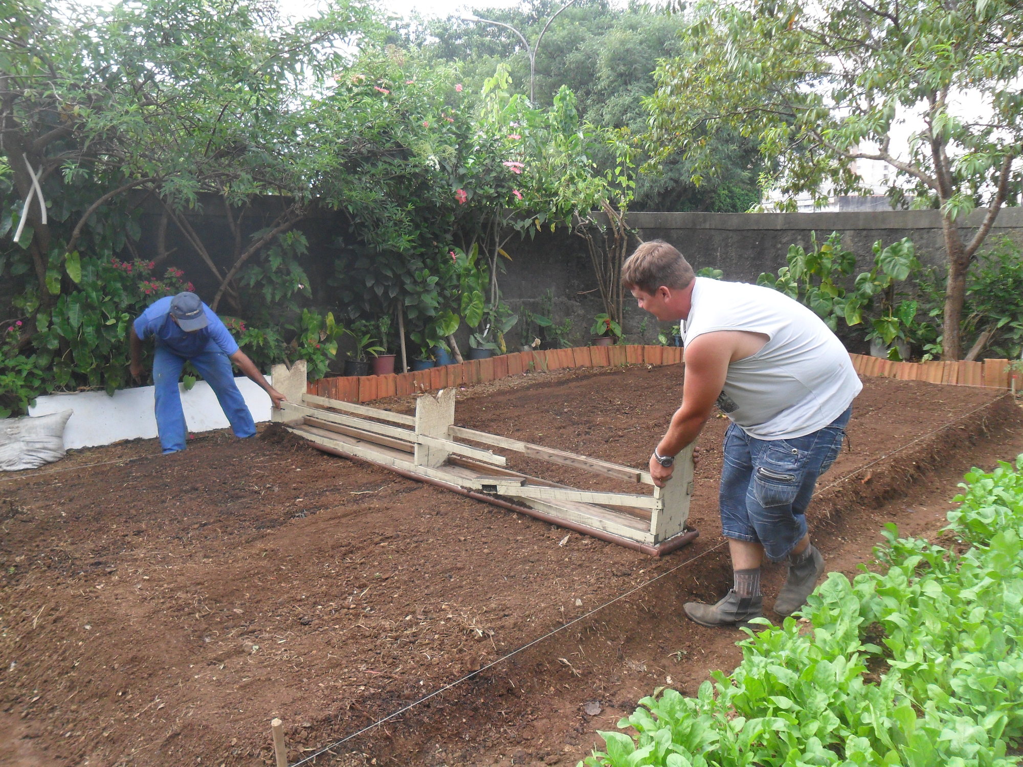 ICAR AIEEA 2021: For great agriculture course enthusiasts