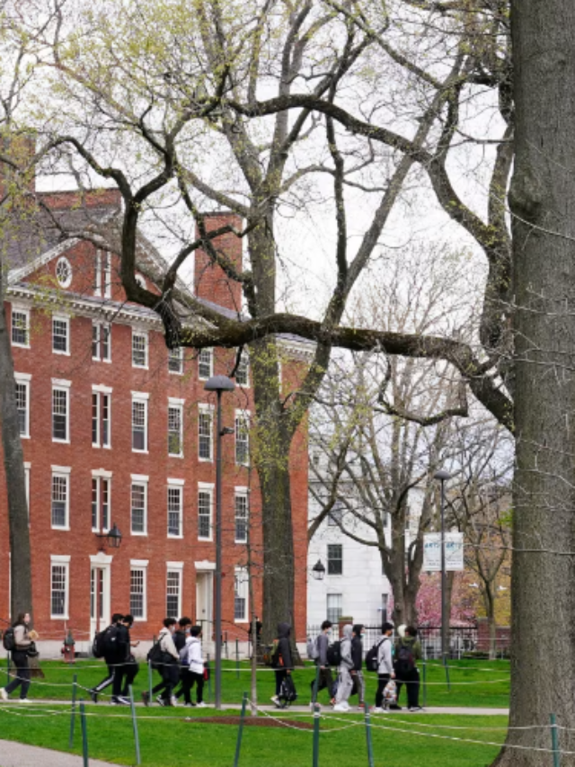 FREE TECH SKILLS FOR ALL: 10 TOP COURSES FROM HARVARD UNIVERSITY ...
