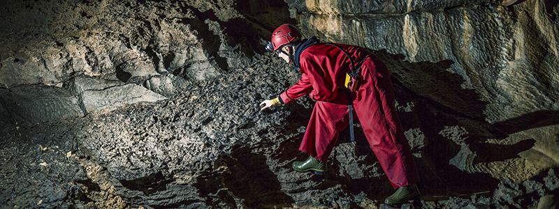 Geology course: Know all about this great programme @2021