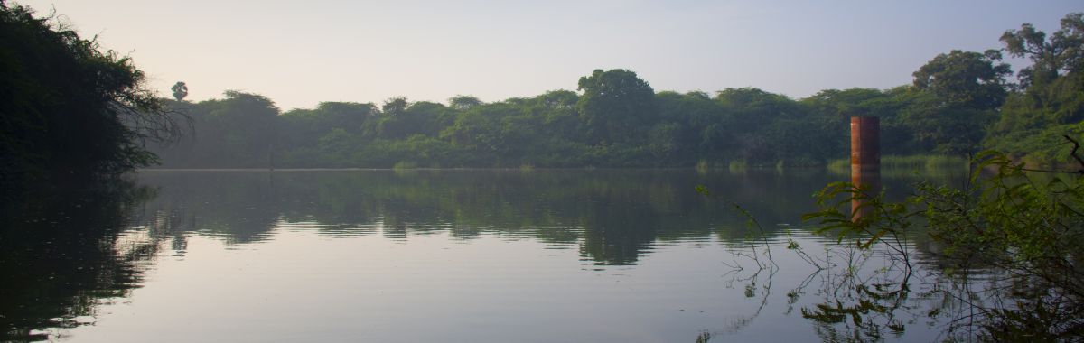 Saarang 2022 of IIT Madras to be great cynosure of all eyes