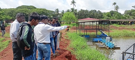 Top 20 Government Universities in Goa